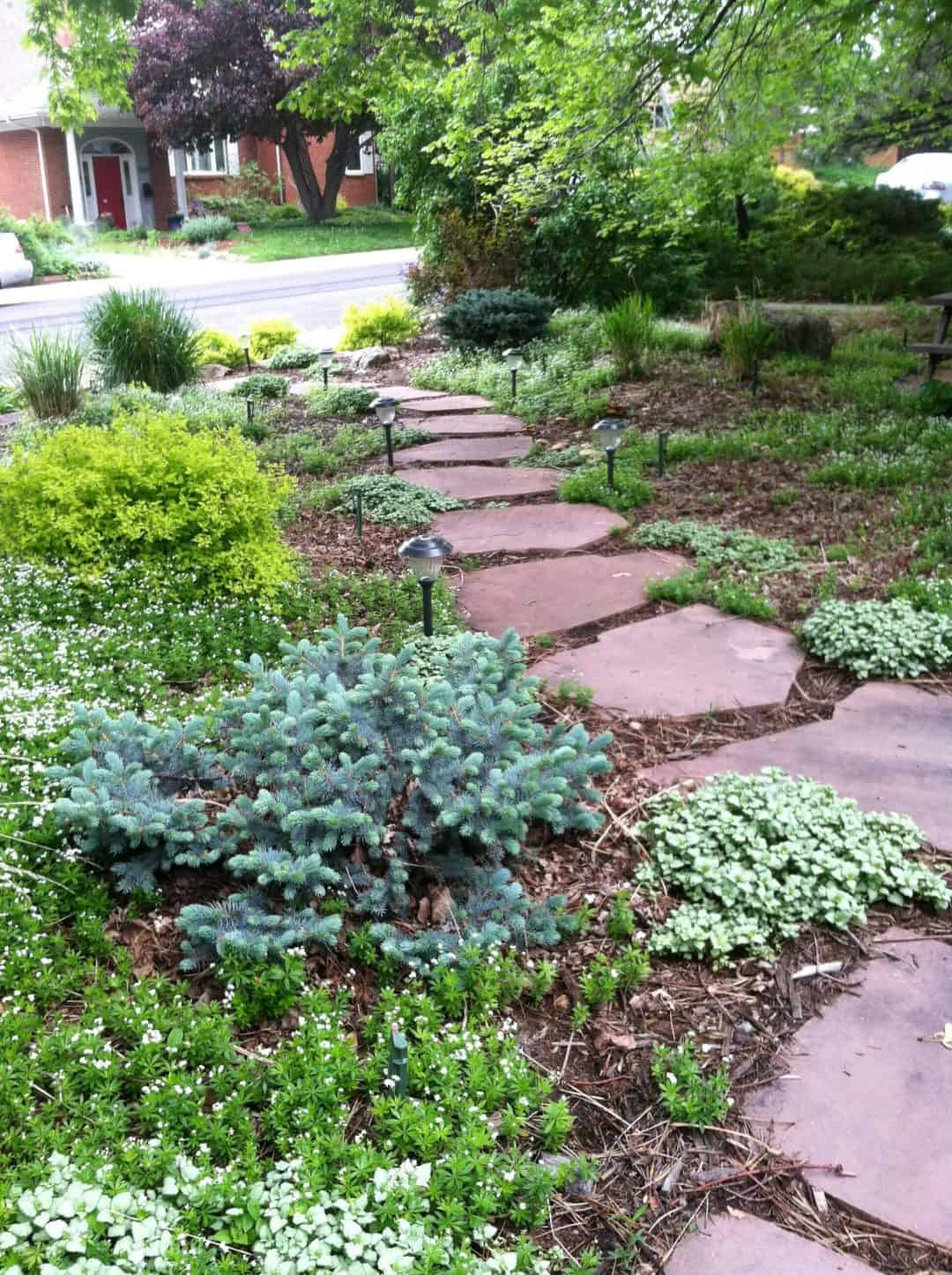 How to Create a Meditation Garden | Online Landscape Designs